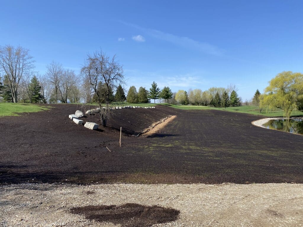 Terraseeding vs Hydroseeding: The Superior Seeding Solution